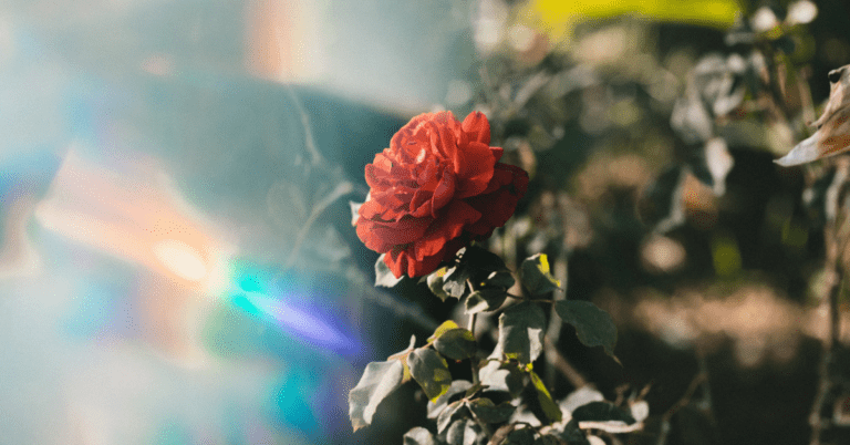 Worship Songs About Light [With Tutorials] - Worship Online